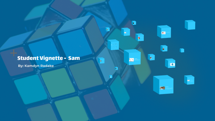 Student Vignette Summary by Kamdyn Radake on Prezi