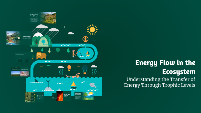 Energy Flow in the Ecosystem by Mai Bakr on Prezi
