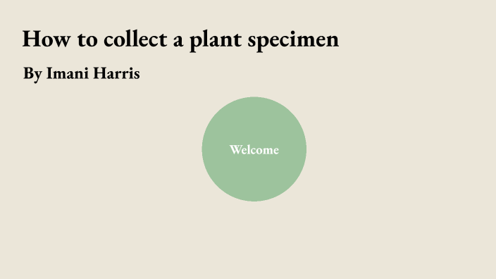 How to collect a plant specimen by Imani Harris on Prezi