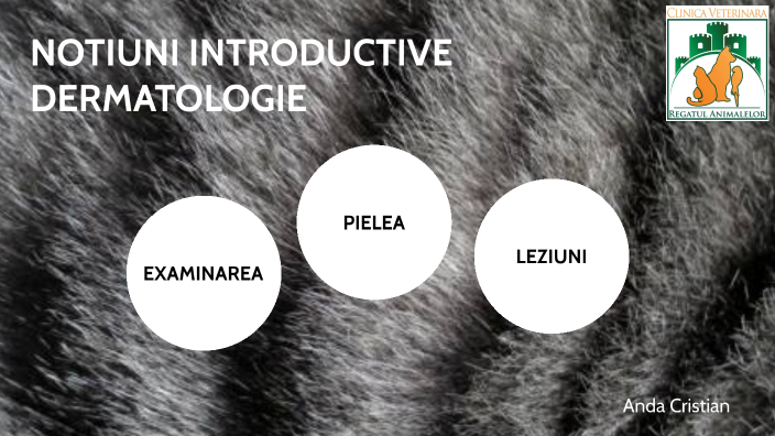 Notiuni introductive dermatologie by Anda Cristian on Prezi