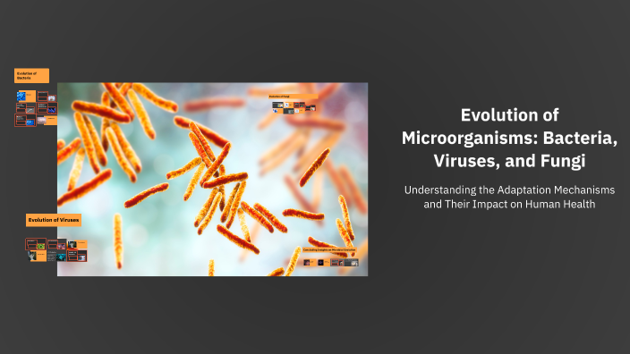 Evolution of Microorganisms: Bacteria, Viruses, and Fungi by Vidhula ...