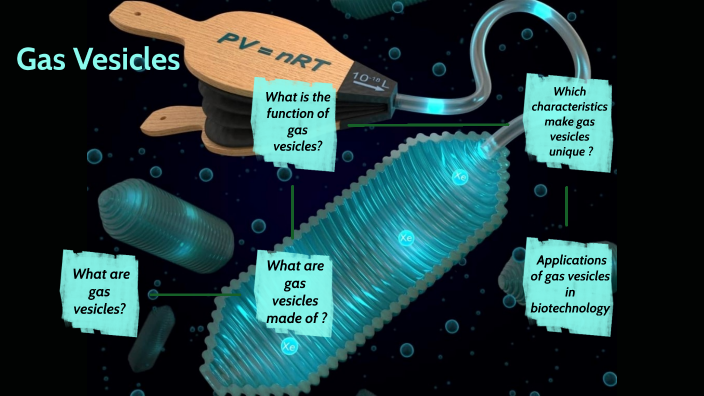 Gas Vesicles by Modis Mohseni on Prezi