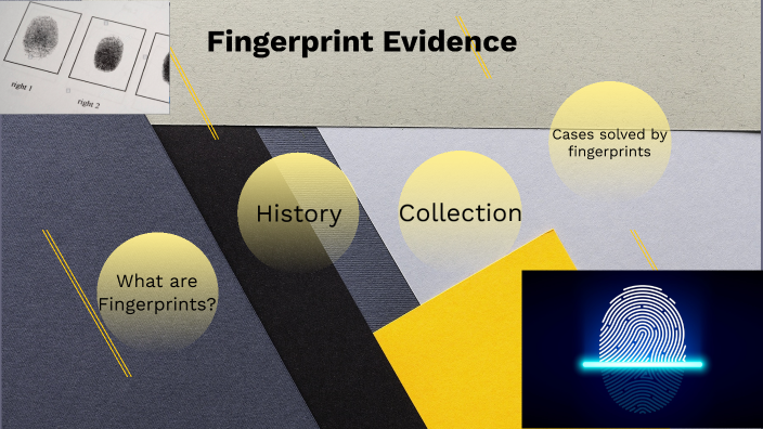 Fingerprints in Forensics by George Gilbride on Prezi