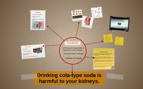 Cola and Kidneys by Stephanie Salgado