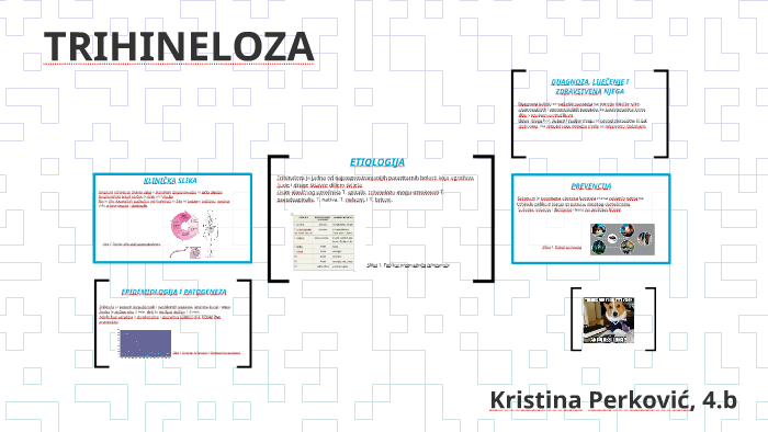 TRIHINELOZA by Kristina Perković on Prezi
