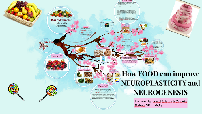 How FOOD can improve NEUROPLASTICITY and NEUROGENESIS by nurul athirah ...