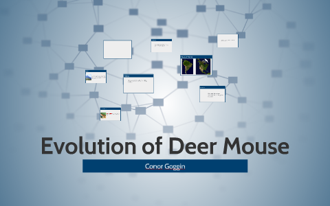 Evolution of Deer Mouse by Conor Goggin on Prezi