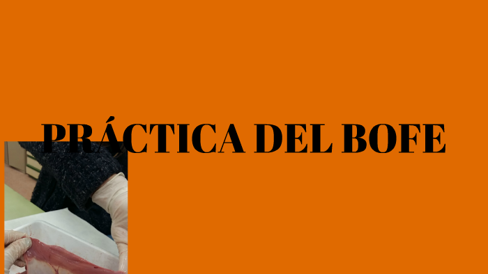 PRACTICA DEL BOFE by Claudia Maria on Prezi