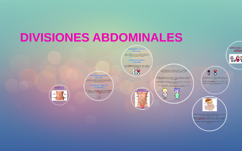 Divisiones abdominales by Yezzika Kano on Prezi