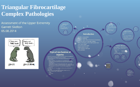 Triangular Fibrocartilage Complex Lesions by Garrett Skelton on Prezi