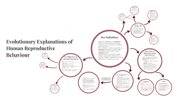 Evolutionary Explanations of Human Reproductive Behaviour by Madeline ...