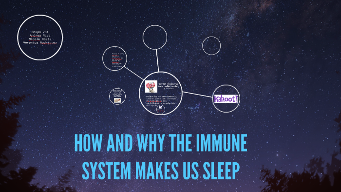 HOW AND WHY THE IMMUNE SYSTEM MAKES US SLEEP by Vero Rodriguez on Prezi