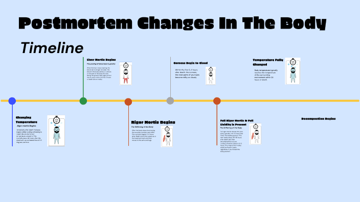 Postmortem Changes Timeline by caitlyn fox on Prezi