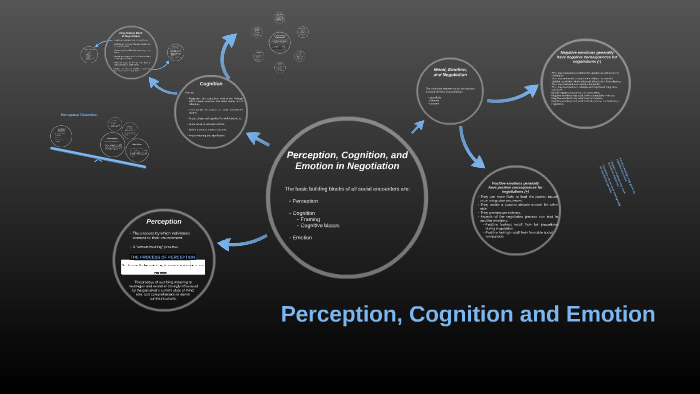 Perception, Cognition and Emotion by Miguel Sandoval