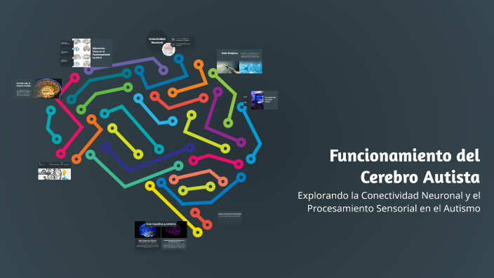 Funcionamiento del Cerebro Autista by paola Pao Lopez on Prezi