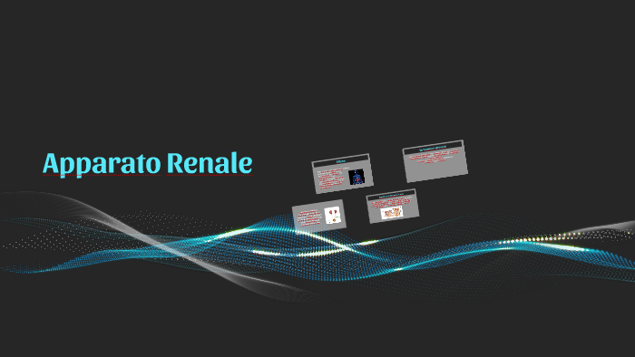 Apparato Renale by Andrea Demurtas on Prezi