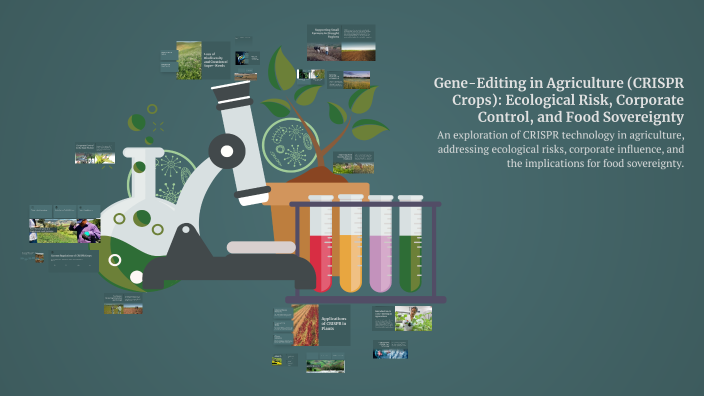 Gene-Editing in Agriculture (CRISPR Crops): Ecological Risk, Corporate ...