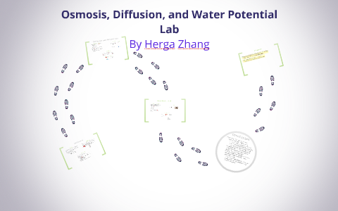 Osmosis, Diffusion, and Water Potential Lab by Herga Zhang on Prezi