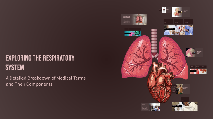 Exploring the Respiratory System by Anood Abdullah on Prezi