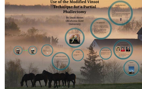 Use of the Modified Vinsot Technique for a Partial Phallectomy by Jason ...