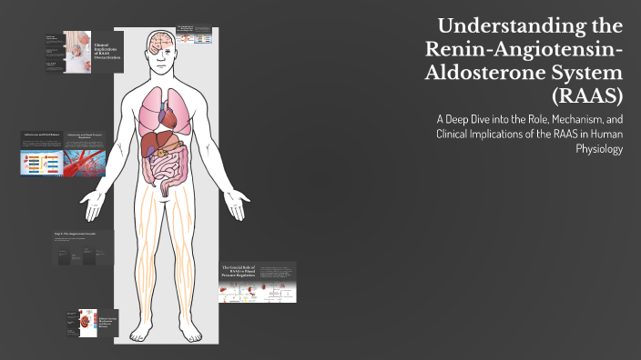 Understanding the Renin-Angiotensin-Aldosterone System (RAAS) by ...