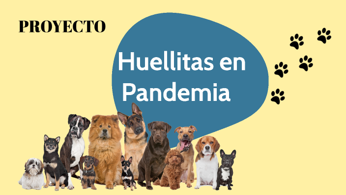 PROYECTO Huellitas en Pandemia by Micaela Oliva on Prezi