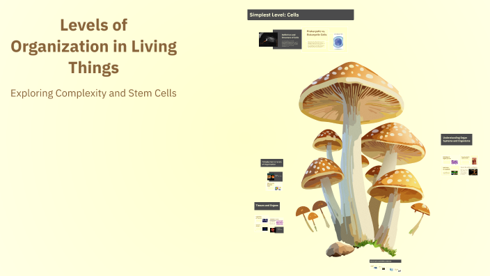 Levels of Organization in Living Things by Jayden Valadez [STUDENT] on ...