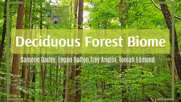 Biome "Survivor" Project by Logan Bolton on Prezi