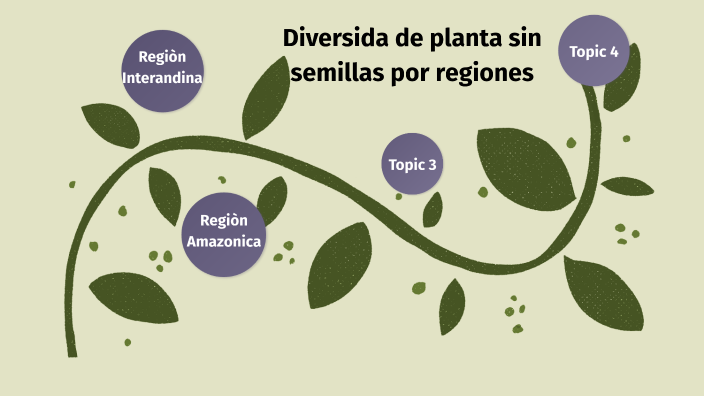 Diversdad De Plantas Sin Semilla Por Regiones By Sonia Rivera On Prezi 9769