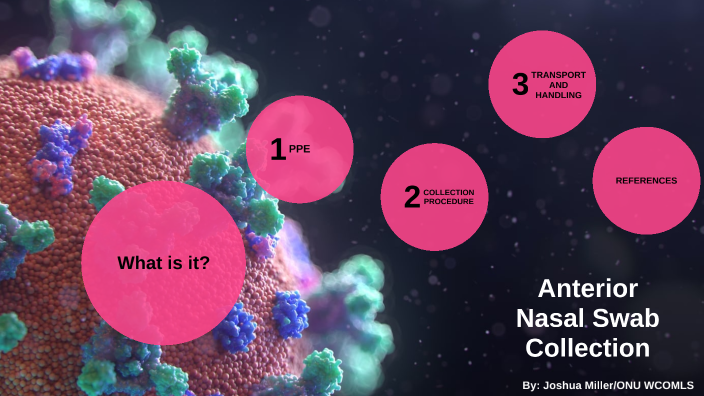 Anterior Nasal Swab Collection by Joshua Miller on Prezi