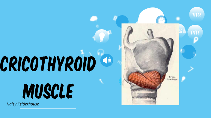 Cricothyroid Muscle by haley kelderhouse on Prezi