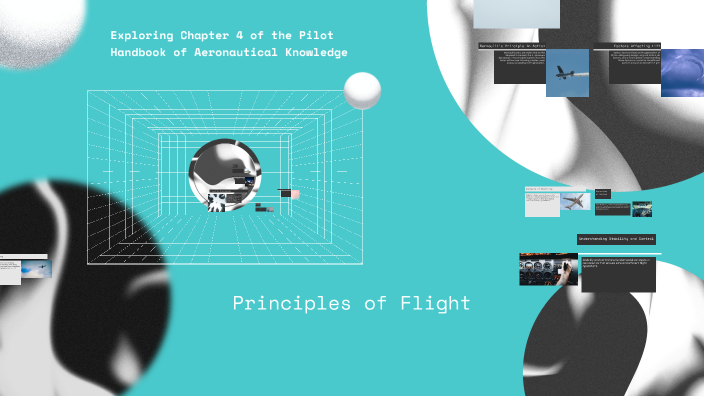 Principles of Flight by Cailee Landis on Prezi