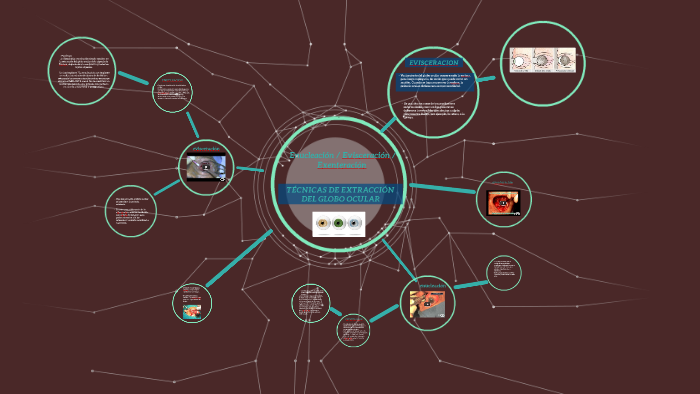 Enucleación / Evisceración / Exenteración TECNICAS DE EXTRA by victoria ...
