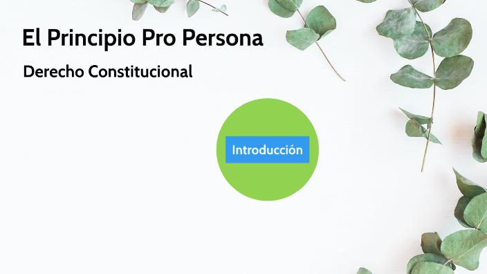El Principio Pro Persona by karla ruiz piñon on Prezi