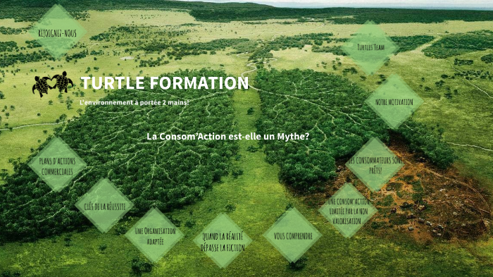 TURTLE FORMATION by MAGALIE HUEL on Prezi