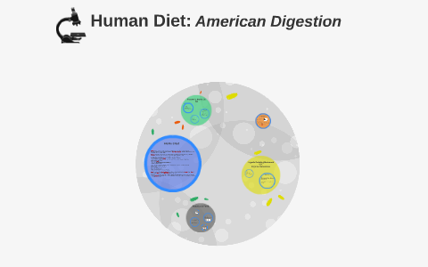 Evolution of Human Diet : by Dayson Roa on Prezi