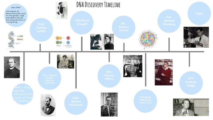 dna timeline by fatima albalooshi on Prezi
