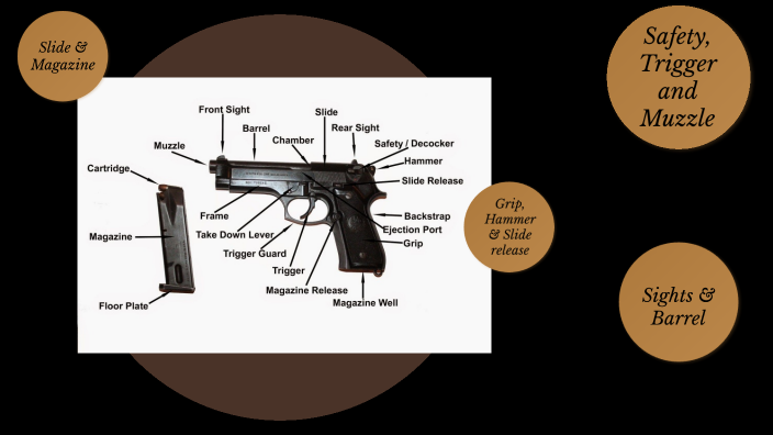 Interactive Gun Presentation by Shantel Neal on Prezi