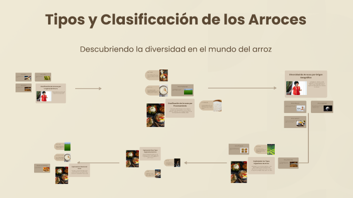 Tipos Y Clasificación De Los Arroces By Daniel Hernandez On Prezi