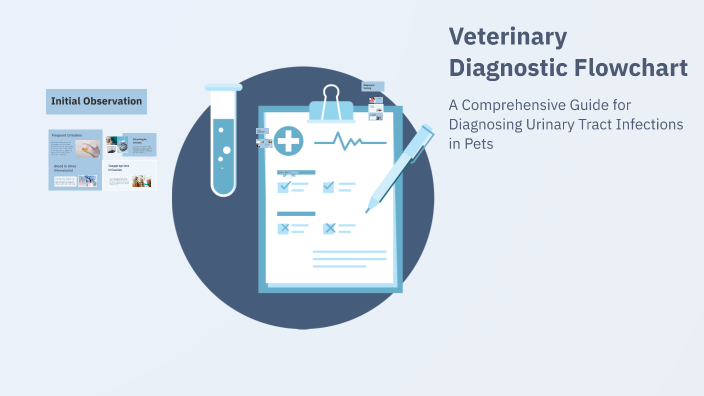 Veterinary Diagnostic Flowchart by Stephanie Dickson on Prezi