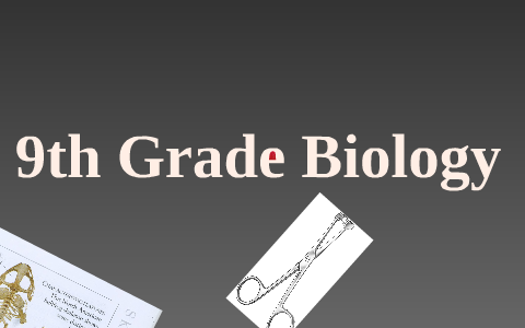 Skype Project For Frog Anatomy by Richard Swayze