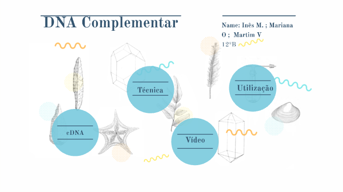 DNA Complementar by on Prezi