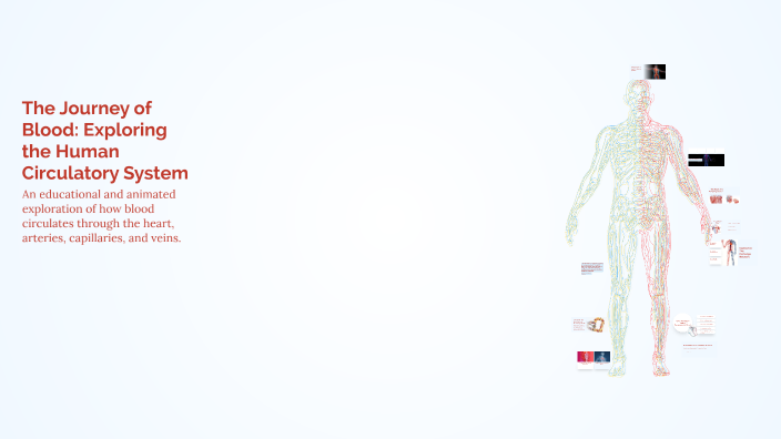 The Journey of Blood: Exploring the Human Circulatory System by elsayed ...