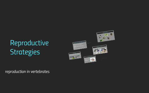 Reproductive Strategies by Steven Bolland on Prezi