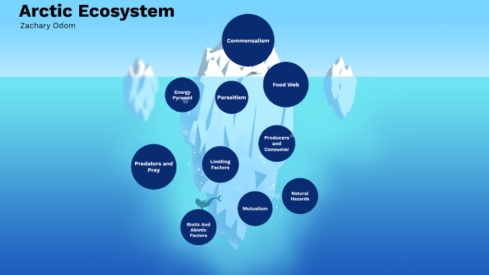 Arctic Ecosystem by Zachary Odom on Prezi