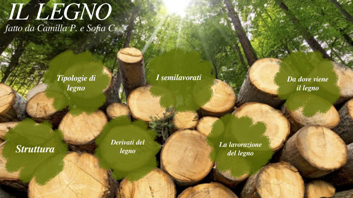 IL LEGNO by CAMILLA POLI on Prezi