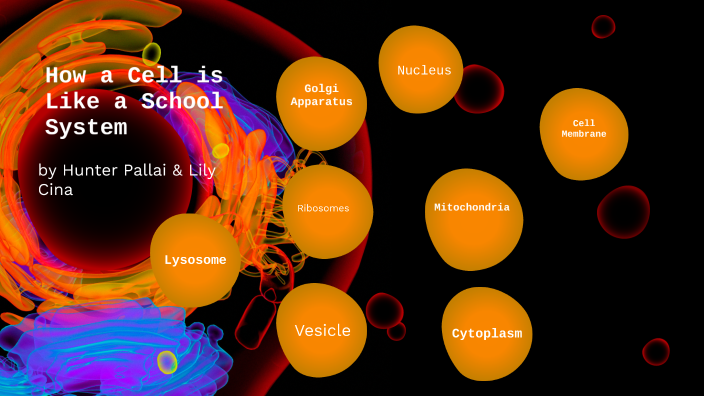 How the Cell is Like a School System. by Hunter Pallai on Prezi