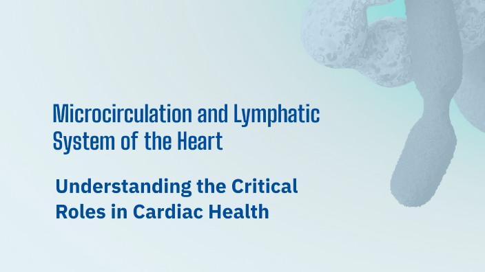 Microcirculation and Lymphatic System of the Heart by Pratik Pudale on ...