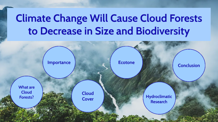 Andean Cloud Forests and Climate Change by Taylor Lamprecht on Prezi