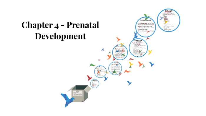 Chapter 4 - Prenatal Development by Amy Guertin